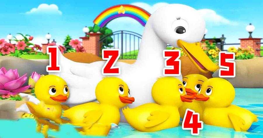 How many colors of ducks are here?🦆