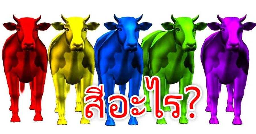 ¿De qué color es esta vaca?