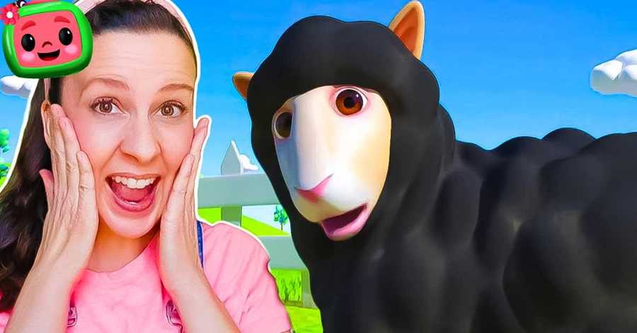 What color sheep do you like?