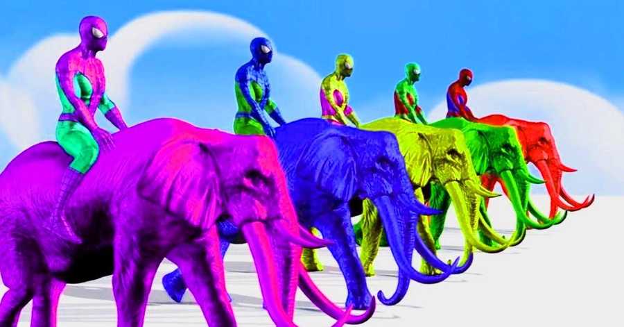 ¿Alguna vez has visto un elefante colorido?